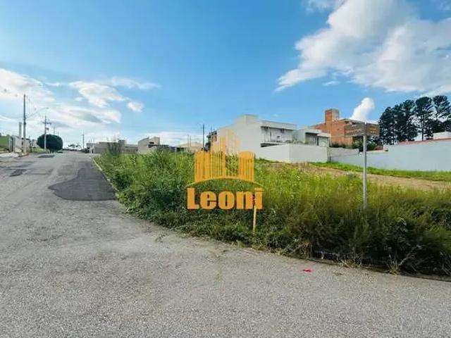 Terreno / Lote para Venda em São João da Boa Vista/SP Alto da Paulista