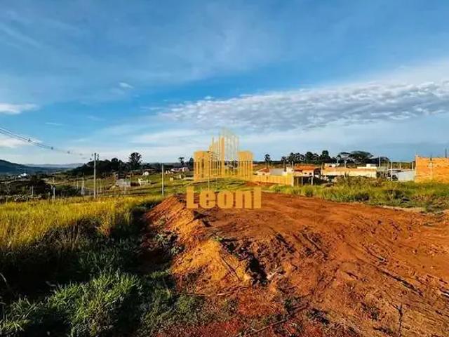 Terreno / Lote para Venda em São João da Boa Vista/SP Jardim Nova União