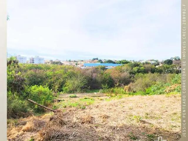 Terreno / Lote para Venda em São João da Boa Vista/SP Jardim São Thiago