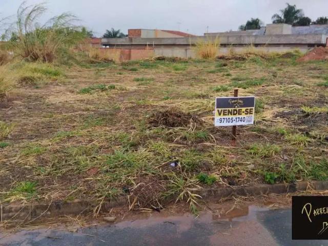 Terreno / Lote para Venda em São João da Boa Vista/SP Loteamento Portal da Aliança