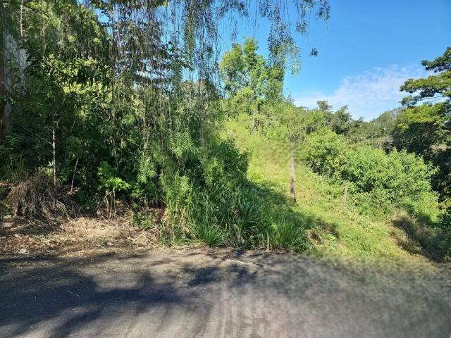 Terreno / Lote para Venda em São João da Boa Vista/SP Solário da Mantiqueira