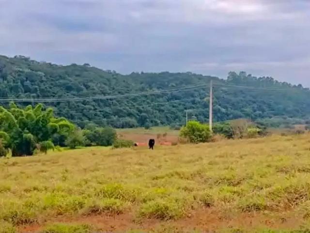 Terreno / Lote para Venda em São João da Mata/MG Zona Rural