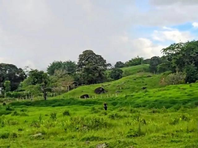 Terreno / Lote para Venda em São João da Mata/MG Zona Rural