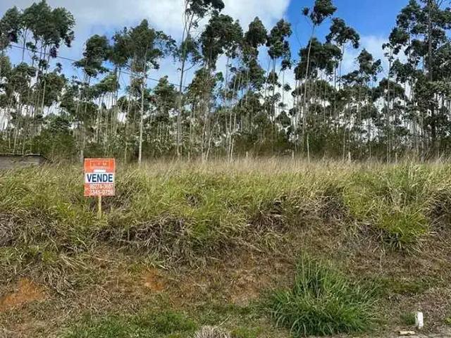 Terreno / Lote para Venda em São João do Itaperiú/SC Centro