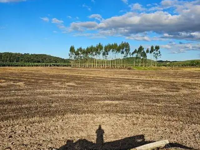 Terreno / Lote para Venda em São João do Itaperiú/SC Santa Cruz
