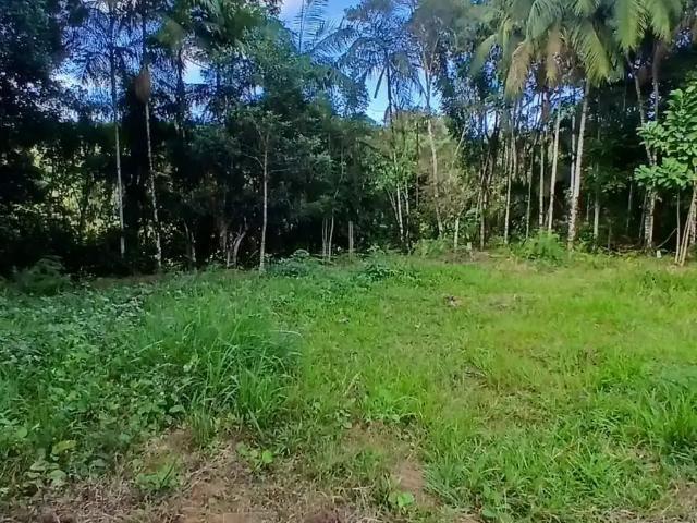Terreno / Lote para Venda em São João do Itaperiú/SC Zona Rural