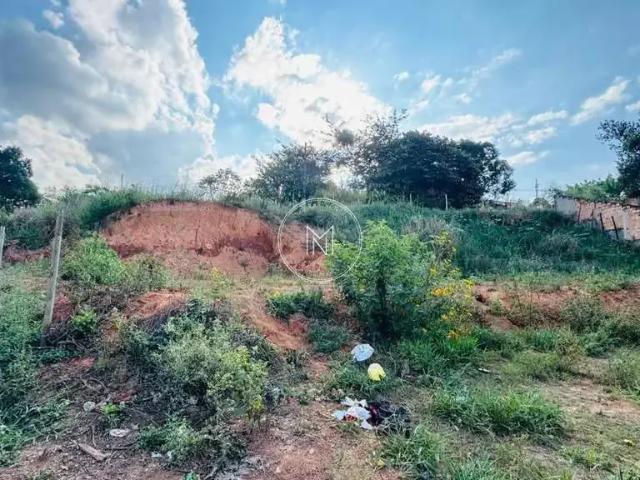 Terreno / Lote para Venda em São Joaquim de Bicas/MG Alvorada Industrial