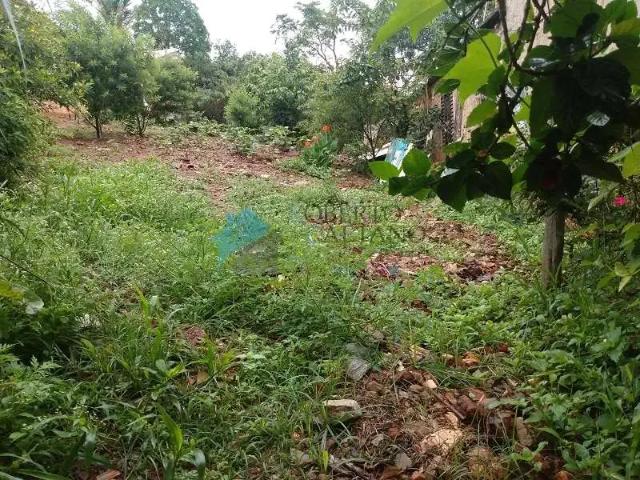 Terreno / Lote para Venda em São Joaquim de Bicas/MG Santo Antonio
