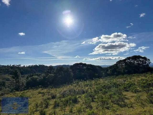 Terreno / Lote para Venda em São Joaquim/SC Pericó