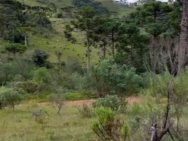 Terreno / Lote para Venda em São Joaquim/SC Zona Rural