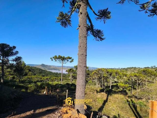 Terreno / Lote para Venda em São Joaquim/SC Zona Rural