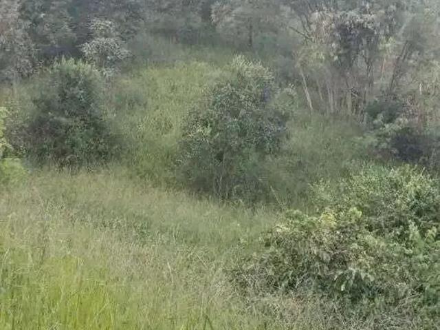 Terreno / Lote para Venda em São José da Lapa/MG Centro