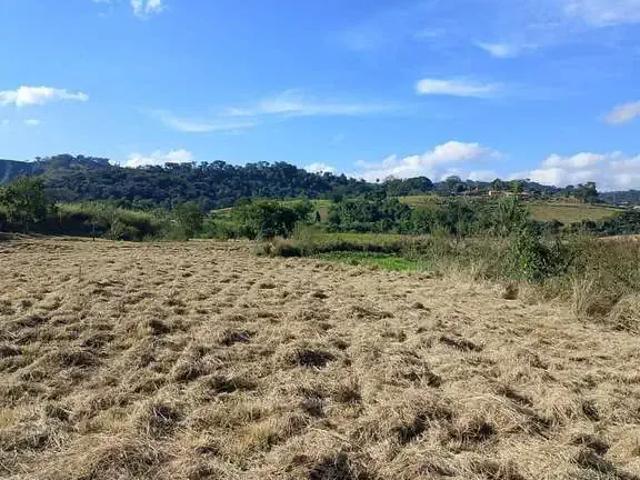 Terreno / Lote para Venda em São José da Lapa/MG Zona Rural