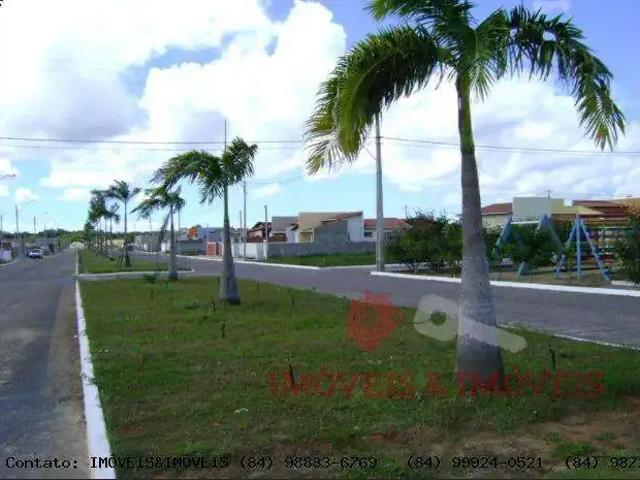Terreno / Lote para Venda em São José de Mipibu/RN Centro