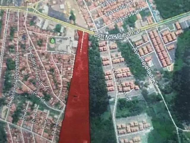 Terreno / Lote para Venda em São José de Ribamar/MA Forquilha