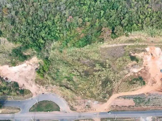 Terreno / Lote para Venda em São José do Rio Pardo/SP Distrito Industrial Vinício Spessotto