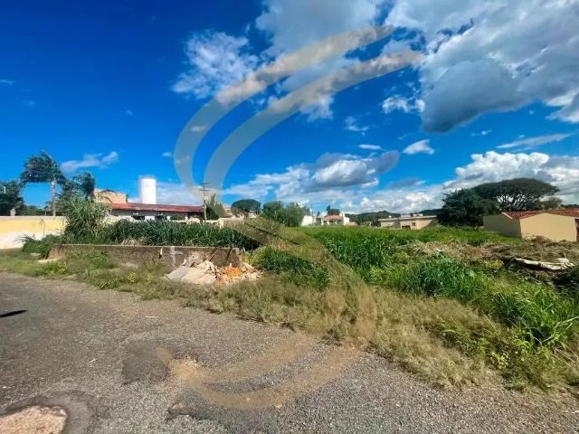 Terreno / Lote para Venda em São José do Rio Pardo/SP Jardim Santa Tereza