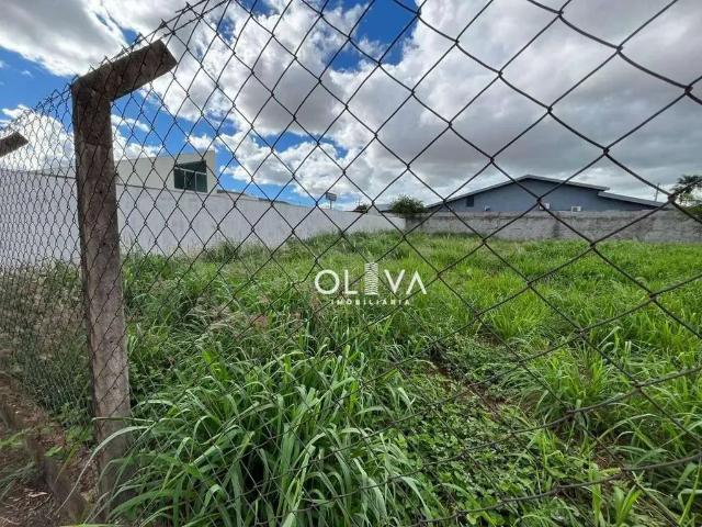 Terreno / Lote para Venda em São José do Rio Preto/SP Vila Maria