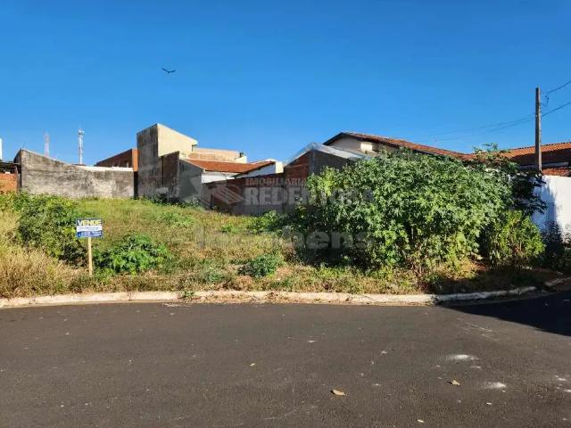 Terreno / Lote para Venda em São José do Rio Preto/SP Vila Angélica