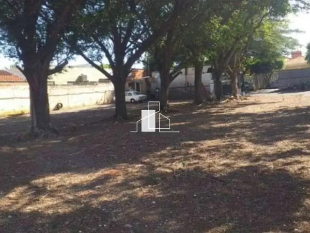 Terreno / Lote para Venda em São José do Rio Preto/SP Vila Curti