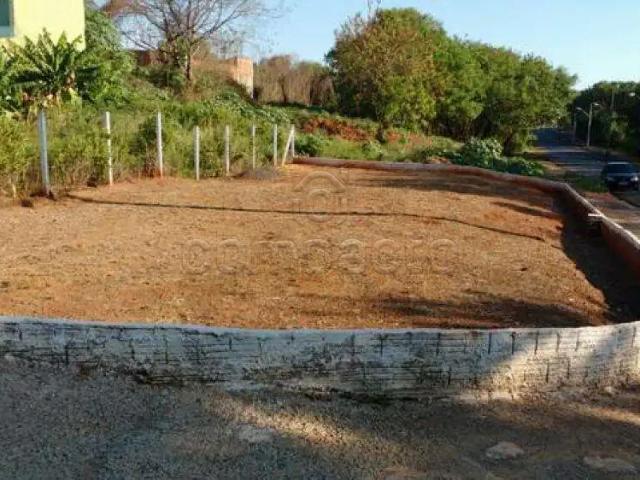 Terreno / Lote para Venda em São José do Rio Preto/SP Vila Clementina