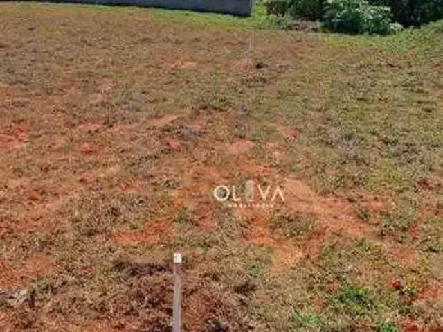 Terreno / Lote para Venda em São José do Rio Preto/SP Vila Clementina