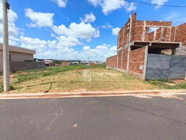 Terreno / Lote para Venda em São José do Rio Preto/SP Vila São Jorge