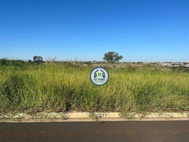 Terreno / Lote para Venda em São José do Rio Preto/SP Vila São Jorge