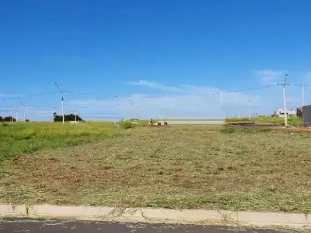 Terreno / Lote para Venda em São José do Rio Preto/SP Vila São Jorge