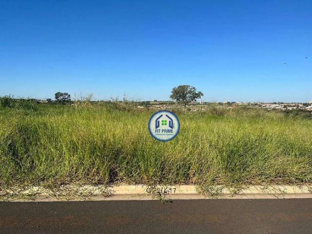 Terreno / Lote para Venda em São José do Rio Preto/SP Vila São Jorge