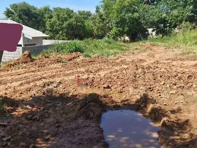 Terreno / Lote para Venda em São José do Rio Preto/SP Vila Toninho