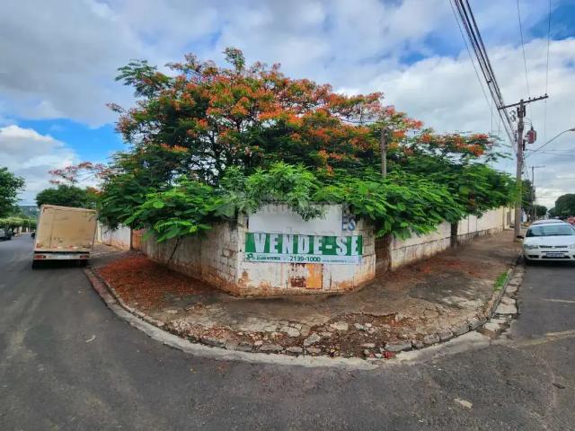 Terreno / Lote para Venda em São José do Rio Preto/SP Vila Toninho