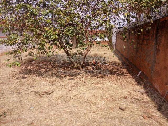 Terreno / Lote para Venda em São José do Rio Preto/SP Boa Vista