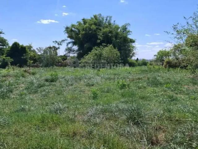 Terreno / Lote para Venda em São José do Rio Preto/SP Centro