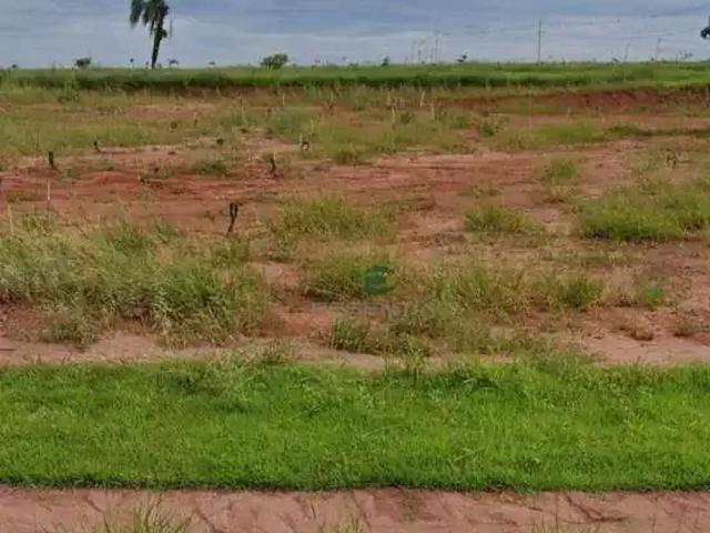 Terreno / Lote para Venda em São José do Rio Preto/SP Centro Engenheiro Schmitt
