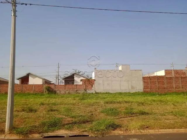 Terreno / Lote para Venda em São José do Rio Preto/SP Chácara Bela Vista