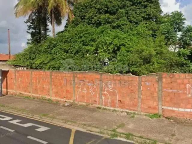 Terreno / Lote para Venda em São José do Rio Preto/SP Cidade Nova