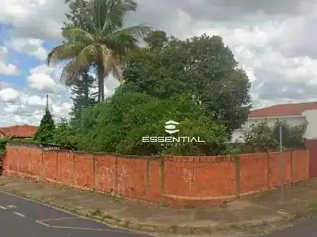 Terreno / Lote para Venda em São José do Rio Preto/SP Cidade Nova