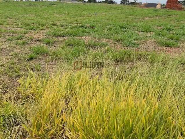 Terreno / Lote para Venda em São José do Rio Preto/SP Condomínio Eplenum