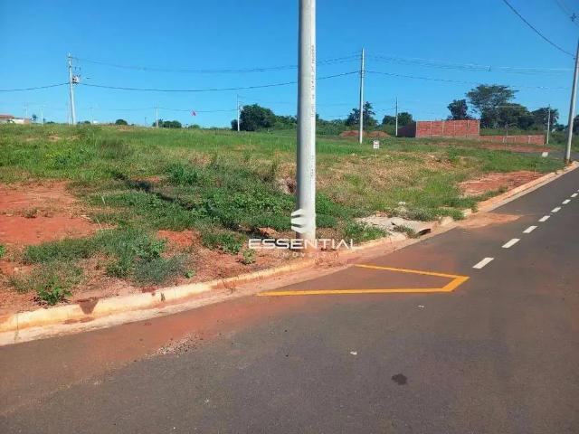 Terreno / Lote para Venda em São José do Rio Preto/SP Conjunto Habitacional São José do Rio Preto