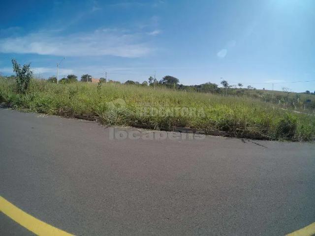 Terreno / Lote para Venda em São José do Rio Preto/SP Colina Azul