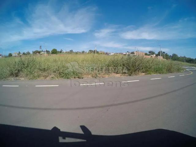 Terreno / Lote para Venda em São José do Rio Preto/SP Colina Azul