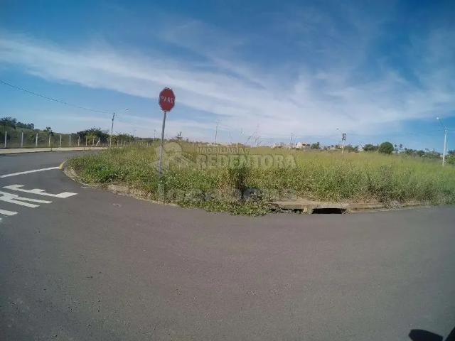 Terreno / Lote para Venda em São José do Rio Preto/SP Colina Azul