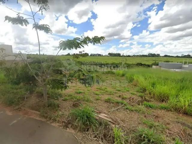 Terreno / Lote para Venda em São José do Rio Preto/SP Colina Azul