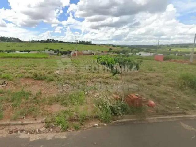 Terreno / Lote para Venda em São José do Rio Preto/SP Colina Azul