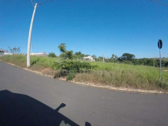 Terreno / Lote para Venda em São José do Rio Preto/SP Colina Azul