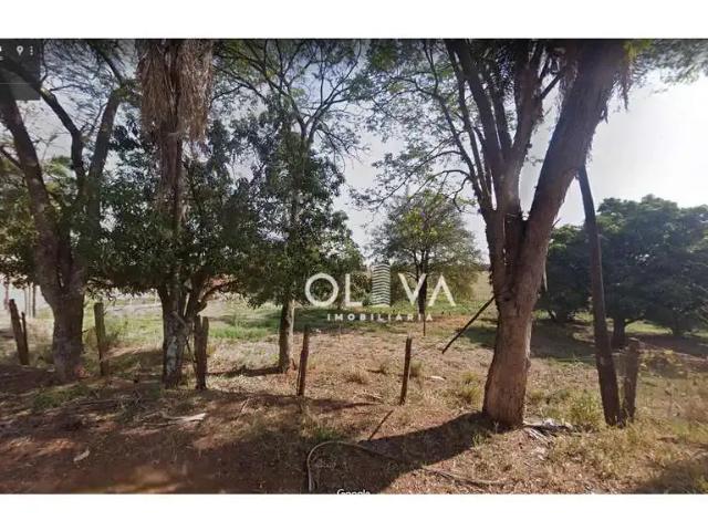 Terreno / Lote para Venda em São José do Rio Preto/SP Estância Jockey Clube