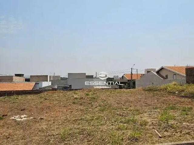 Terreno / Lote para Venda em São José do Rio Preto/SP Estância Jockey Clube