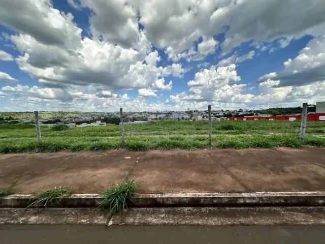 Terreno / Lote para Venda em São José do Rio Preto/SP Residencial e Empresarial Ascolo Martin