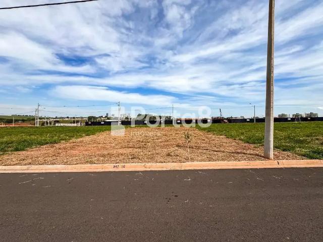Terreno / Lote para Venda em São José do Rio Preto/SP Fazenda Palhinha Zona Rural